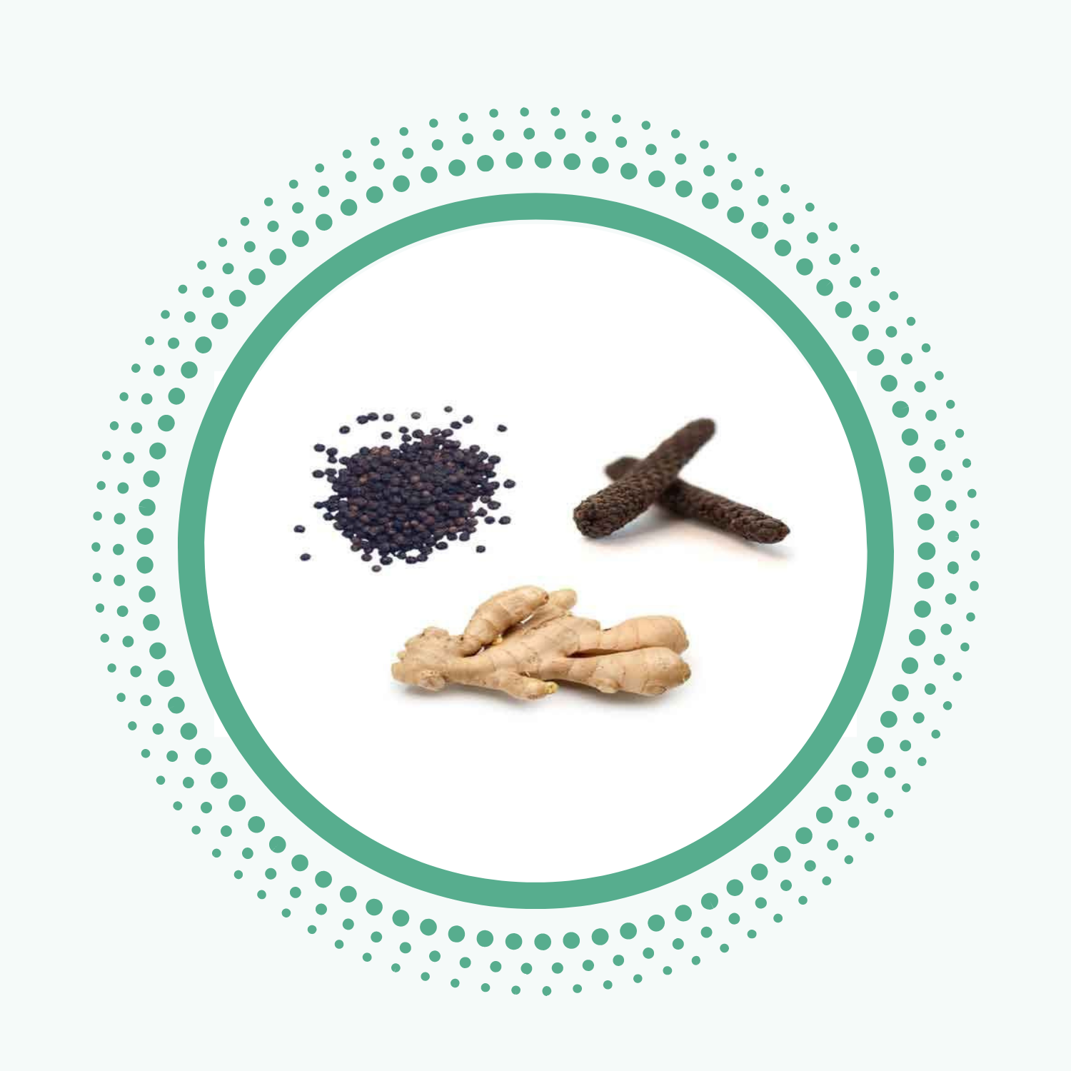 Toothpaste Ingredients – Toothfullyyours