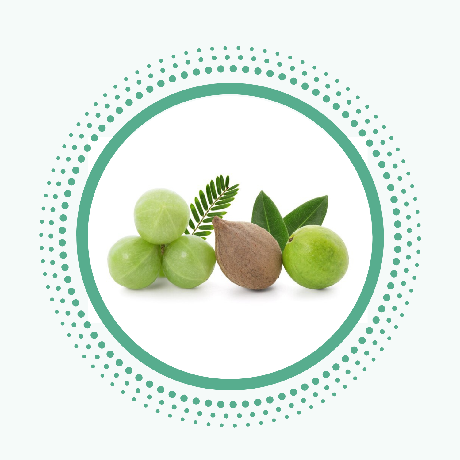 Toothpaste Ingredients – Toothfullyyours