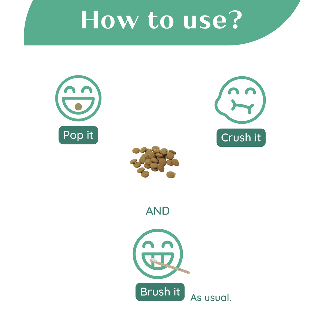 Toothpaste Tablets | Toothfully yours – Toothfullyyours