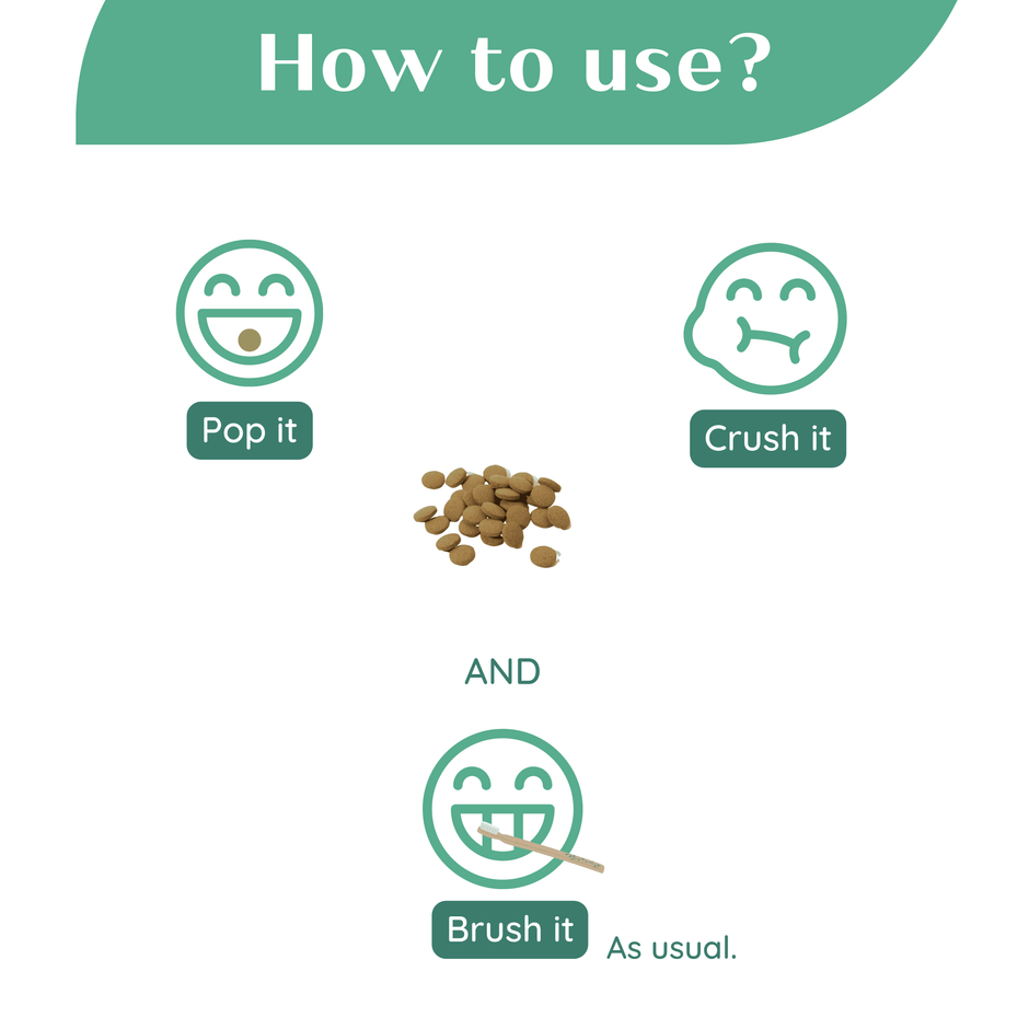 Toothpaste Tablets | Toothfully yours – Toothfullyyours